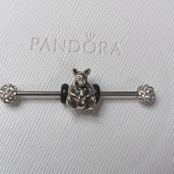 Pandora | Jewelry | Pandora Vintage Stirling Silver Kangaroo And Baby ...